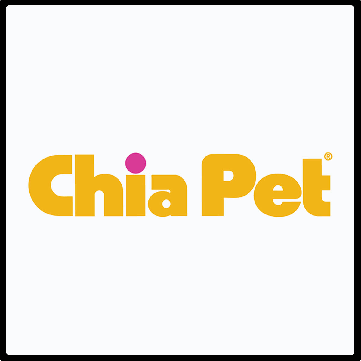 Chia Pets – Super Toy