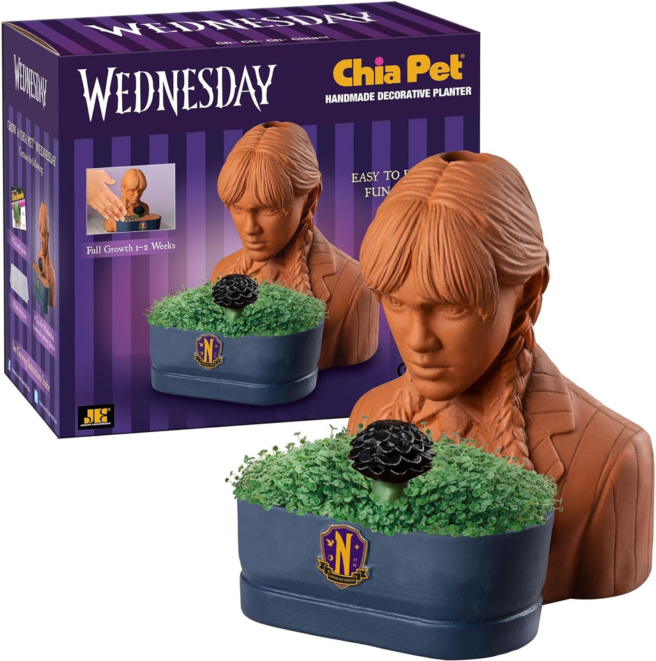 Chia Pets – Super Toy