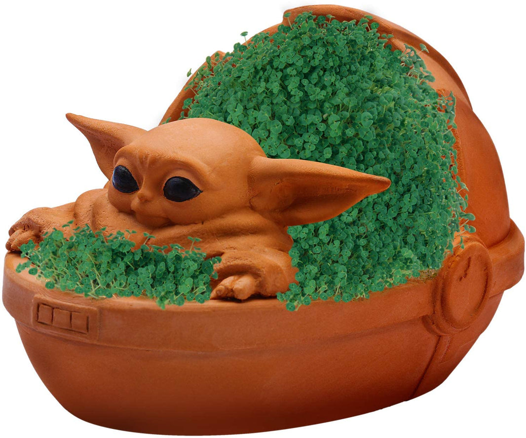 Chia Pets – Super Toy